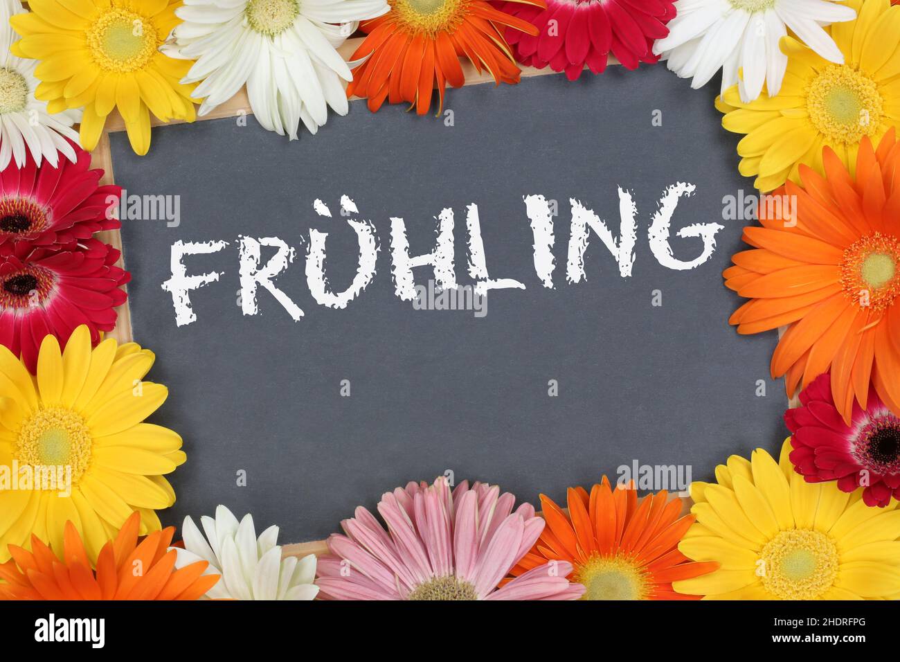 spring, flower frame, flower frames Stock Photo - Alamy