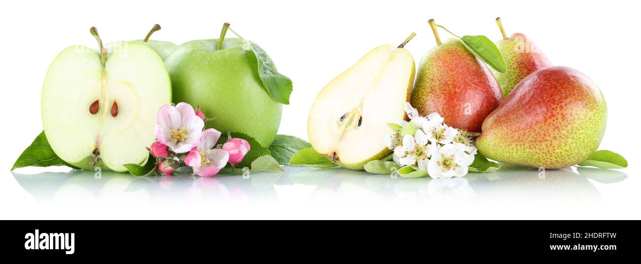 apple, pip fruit, apples, pip fruits Stock Photo - Alamy