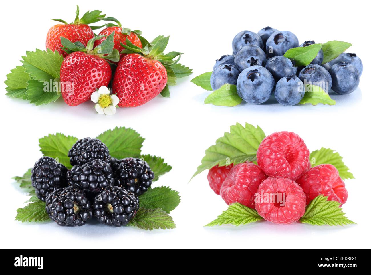 berries, collage, berry, collages Stock Photo - Alamy