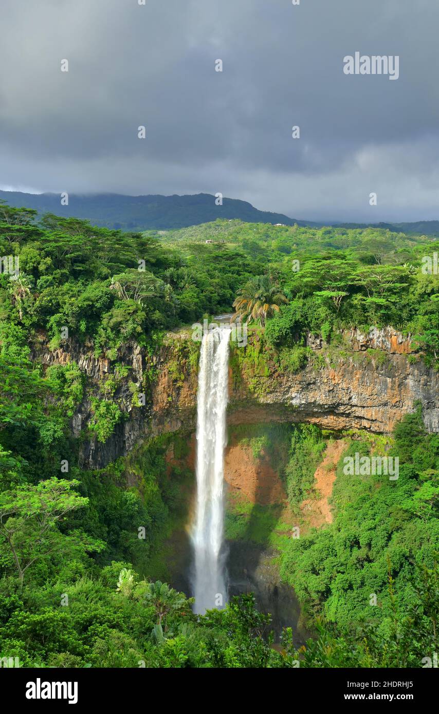 waterfall, jungle, mauritius, cascade, waterfalls, rainforest Stock ...