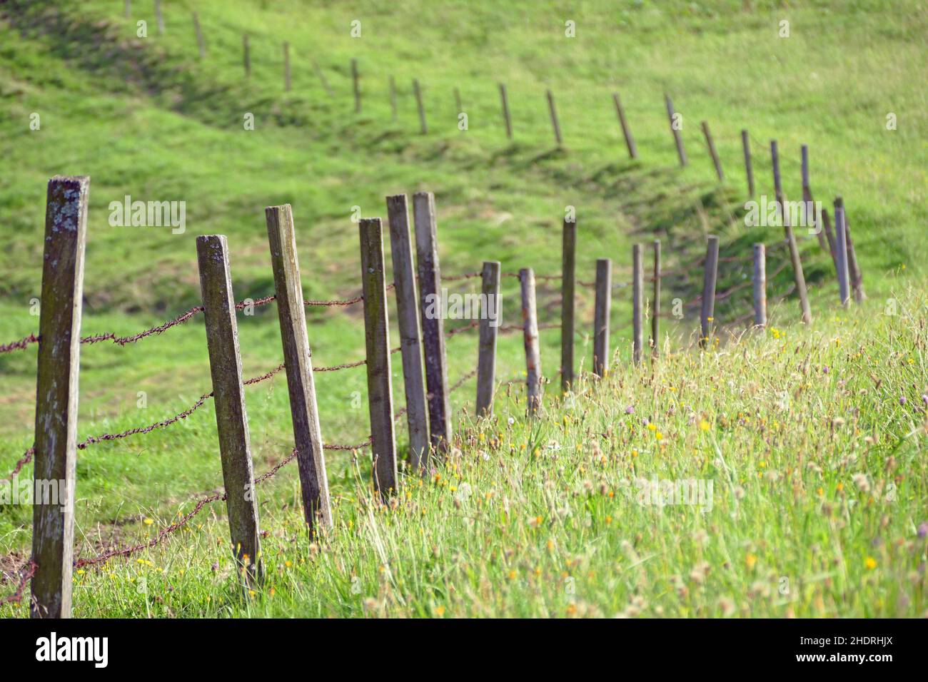 fence, border, fences, borders Stock Photo - Alamy