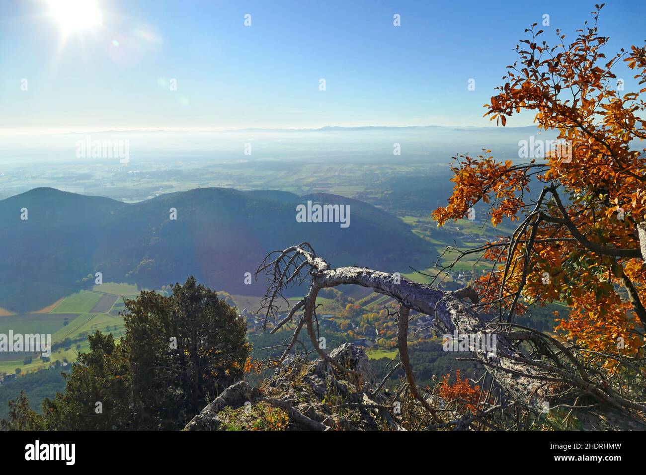 Vienna basin hi-res stock photography and images - Alamy