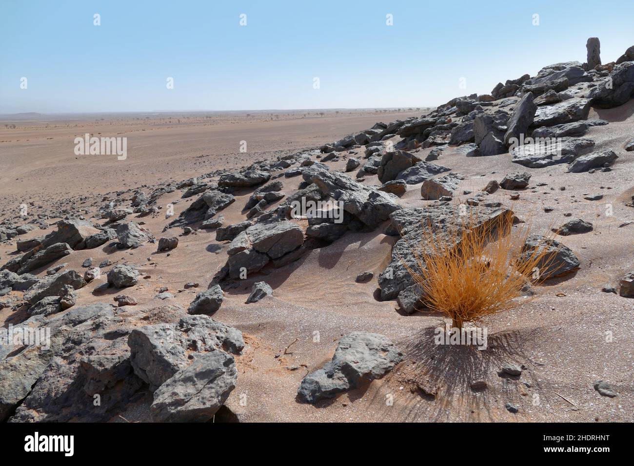 Stony deserts hi-res stock photography and images - Alamy