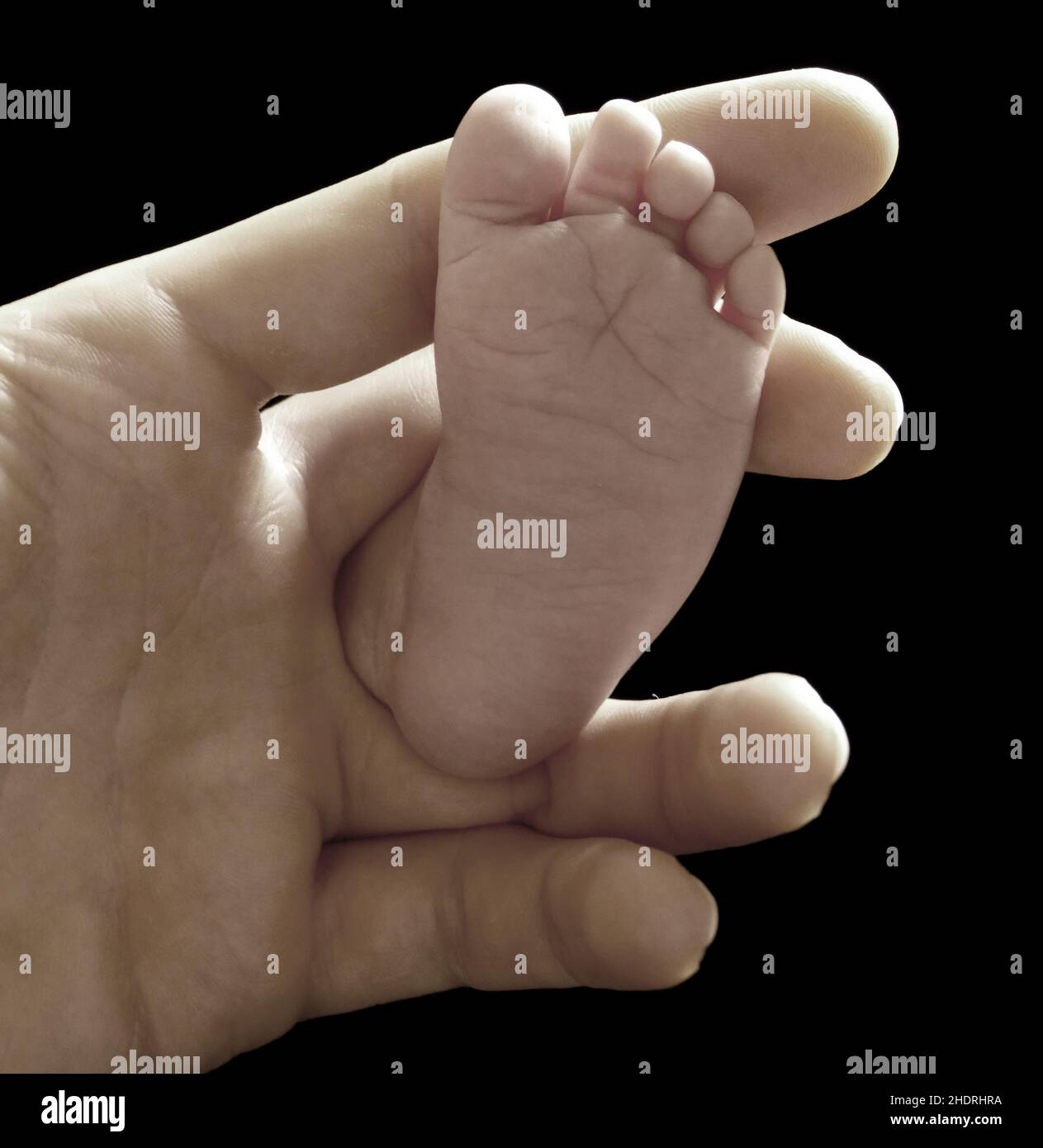 12 feet hi-res stock photography and images - Alamy