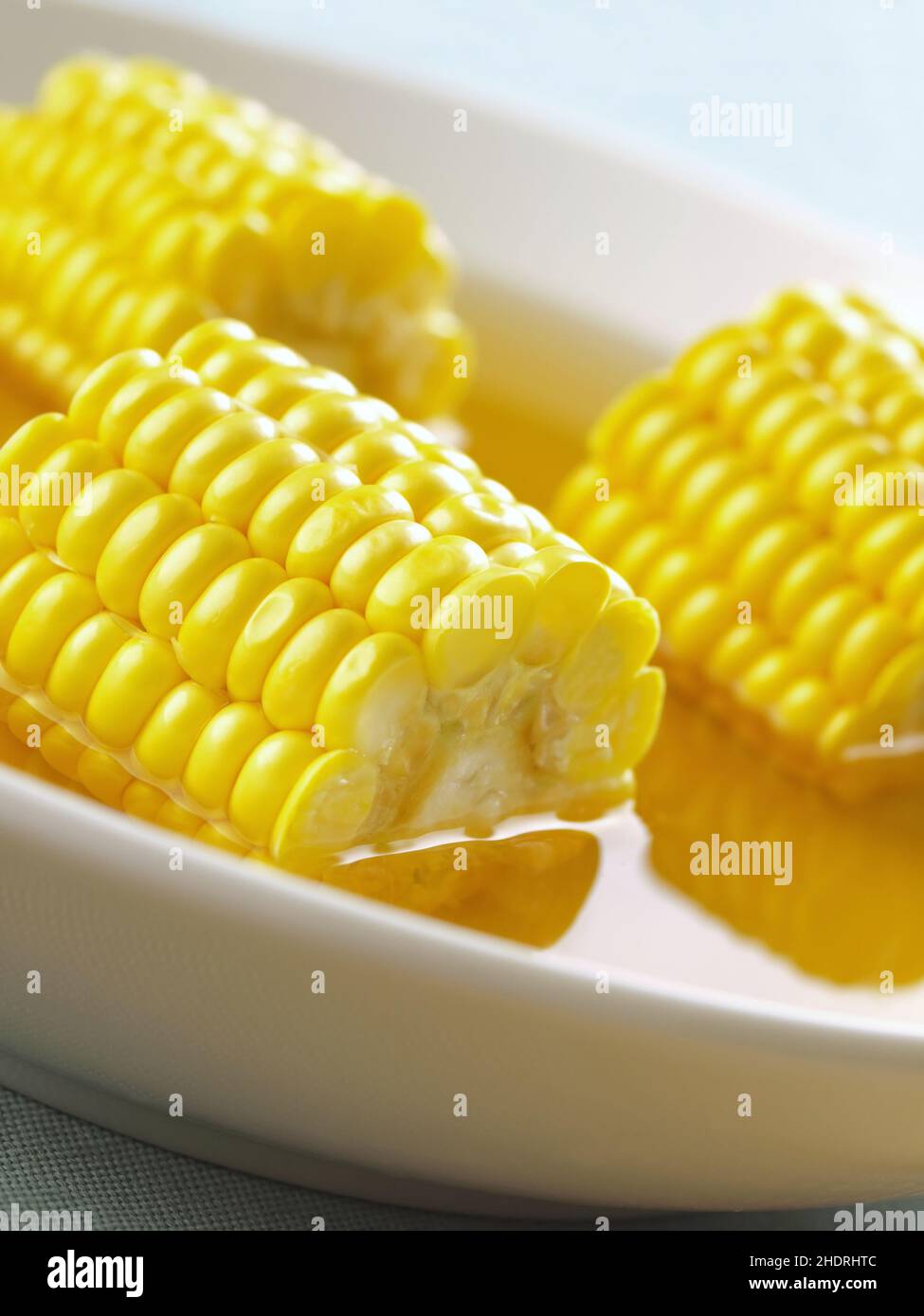 maize cob, maize, corn on the cobs, corn crops Stock Photo - Alamy