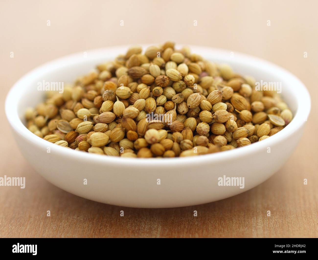 cilantro, coriander seed, coriander capsule, cilantros, coriander seeds ...