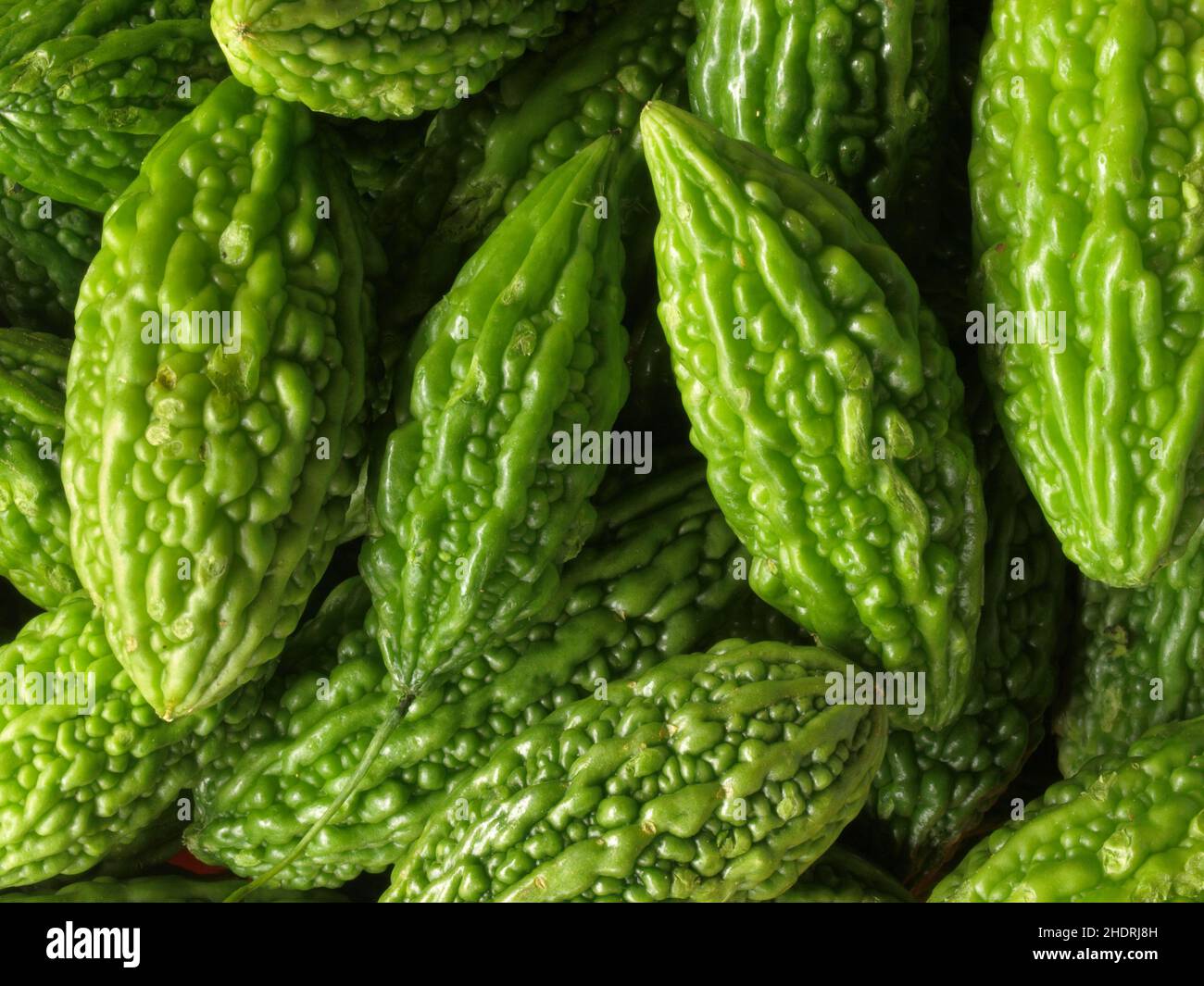 Thorn Melon High Resolution Stock Photography and Images - Alamy