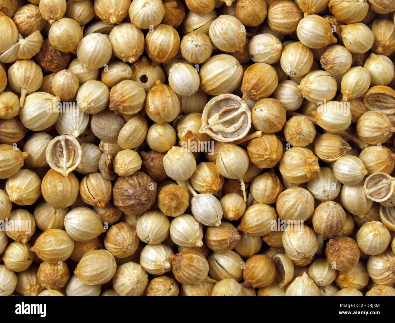Coriander capsule hi-res stock photography and images - Alamy