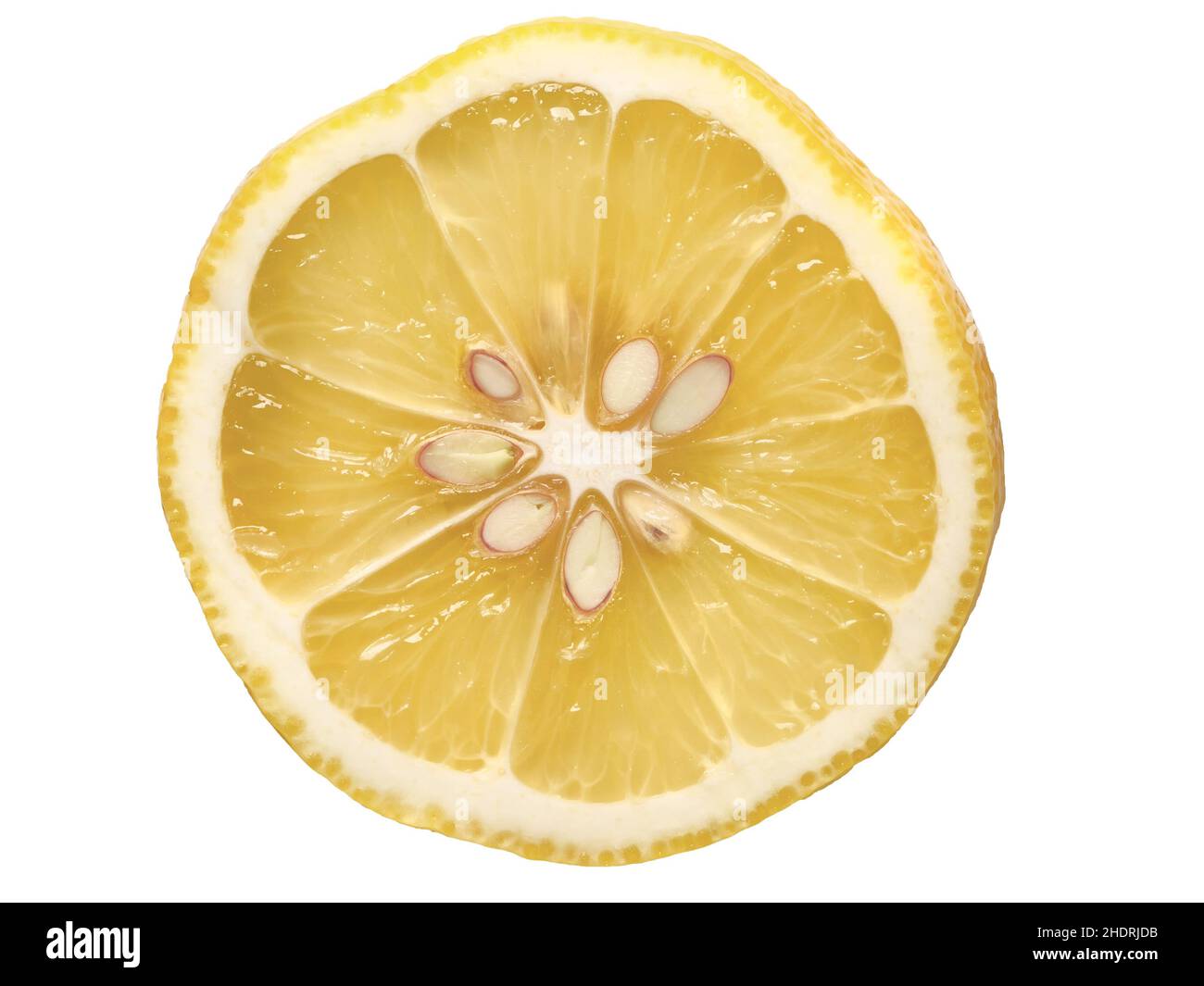 lemon slice, lemon, lemon slices, lemons Stock Photo - Alamy