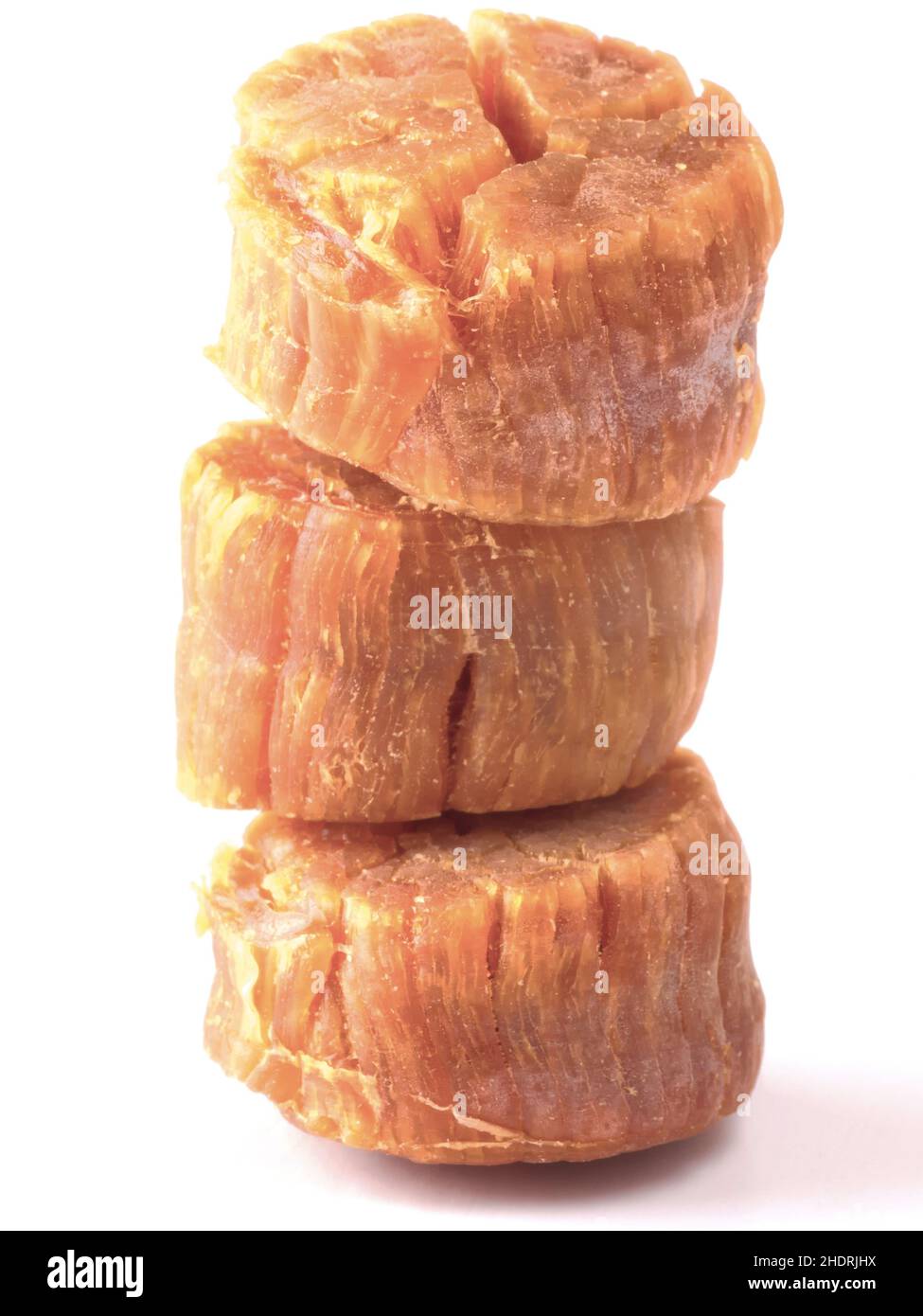 Chlamys varia Cut Out Stock Images & Pictures - Alamy