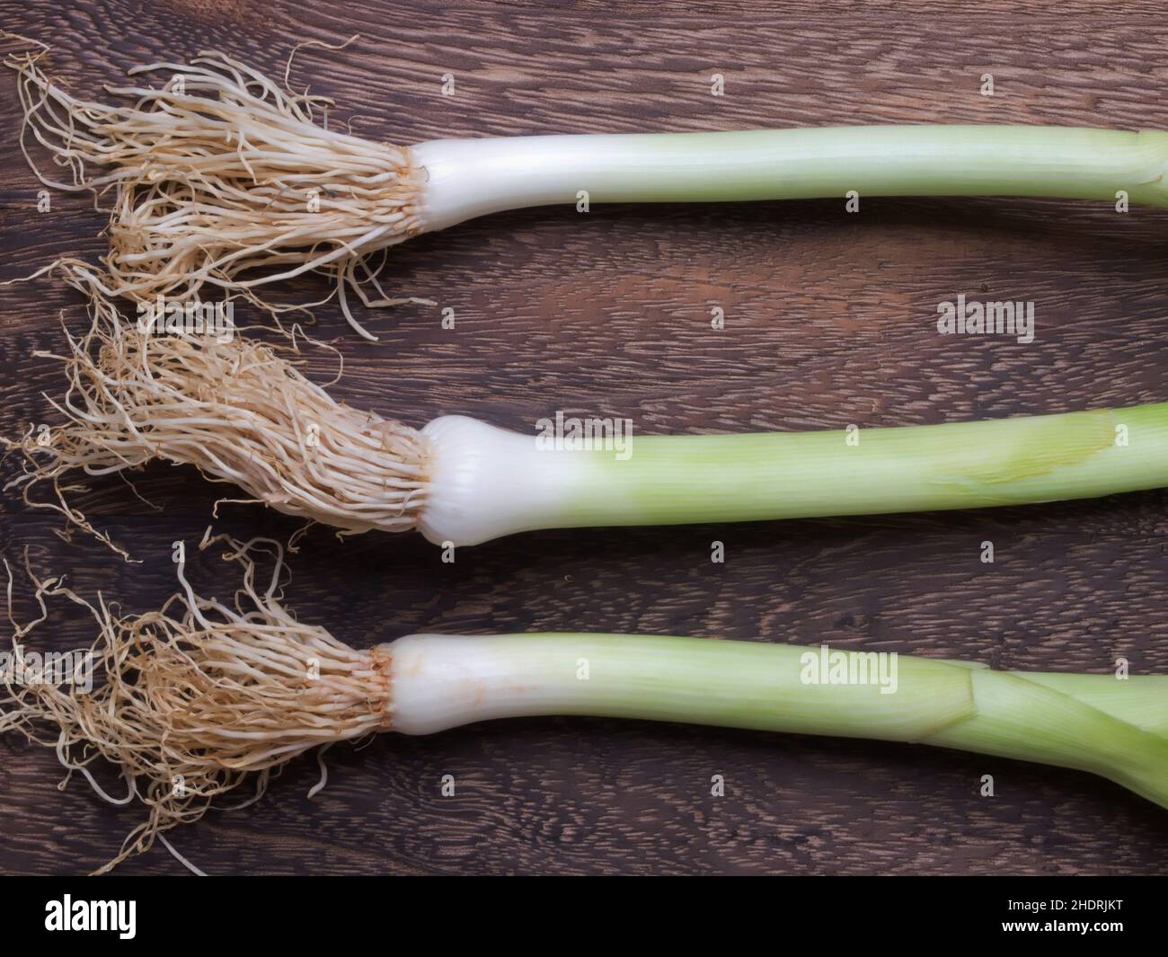 root, leek, roots, leeks Stock Photo - Alamy