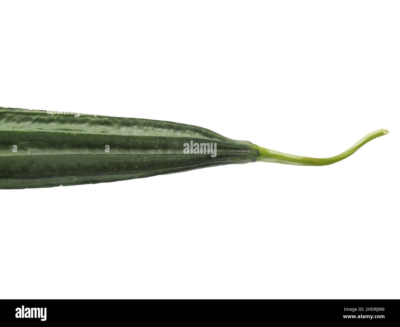 Leaf object hi-res stock photography and images - Alamy