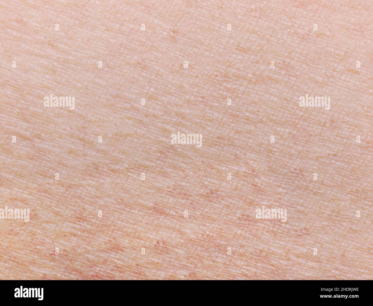 Skins 1 person hi-res stock photography and images - Alamy