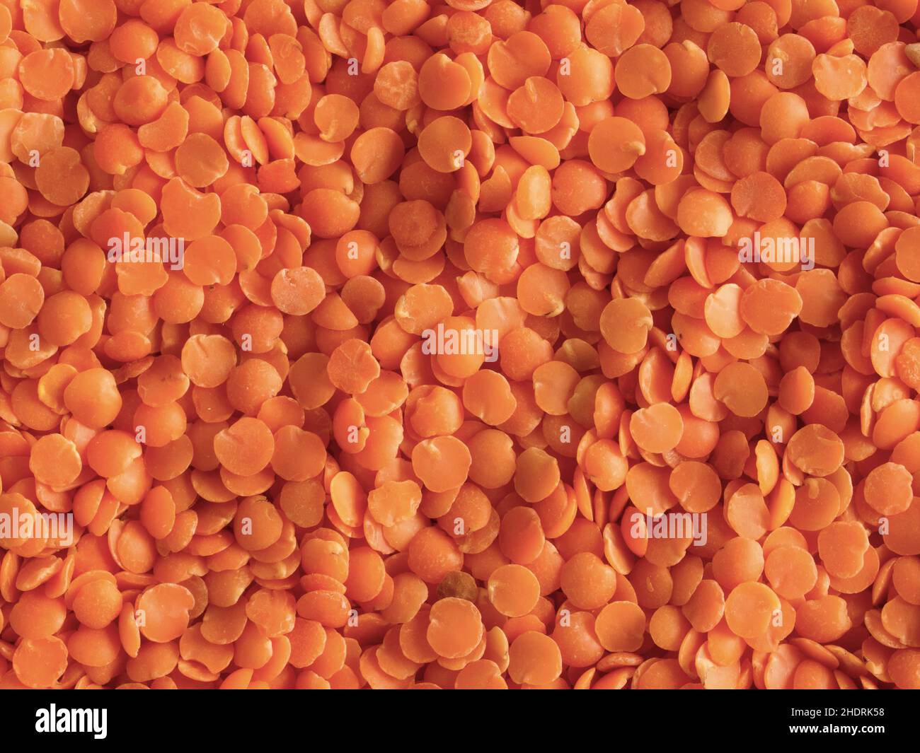 lens, legume, lenses, legumes Stock Photo - Alamy