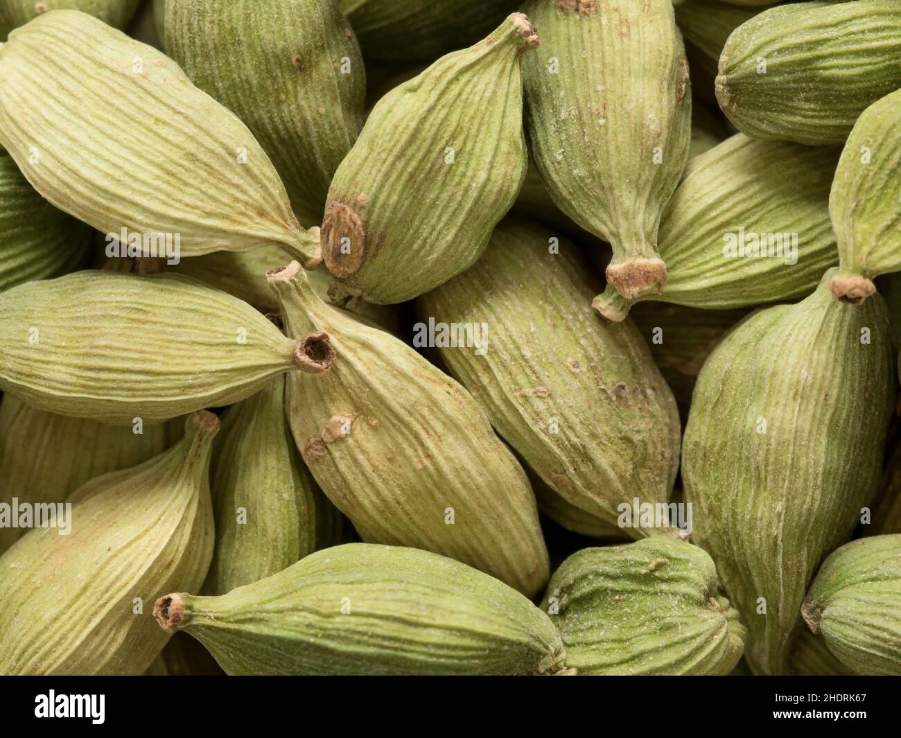 Cardamom capsule hi-res stock photography and images - Alamy
