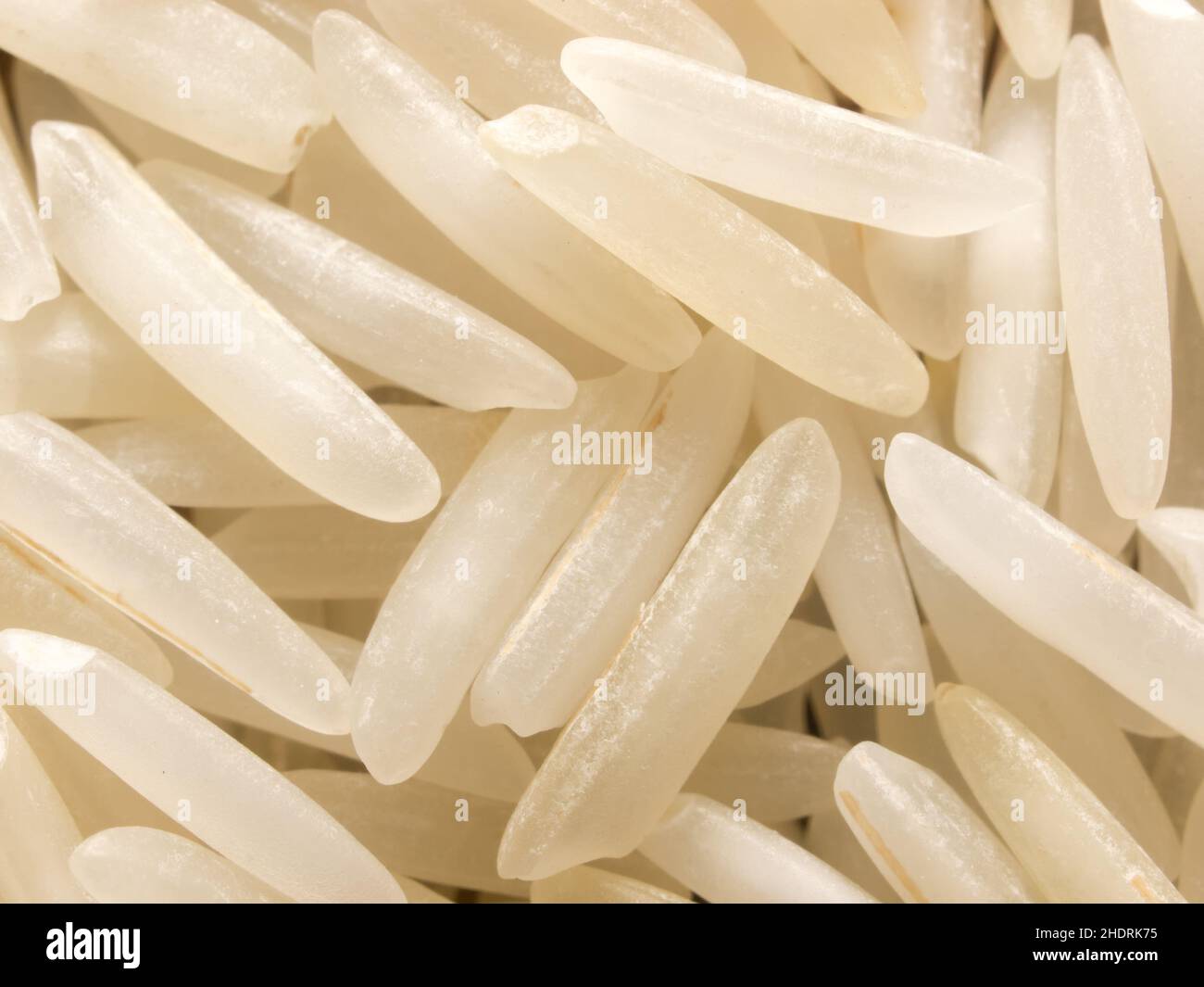 rice, basmati, rice grain, rices, basmatis, rice grains Stock Photo - Alamy
