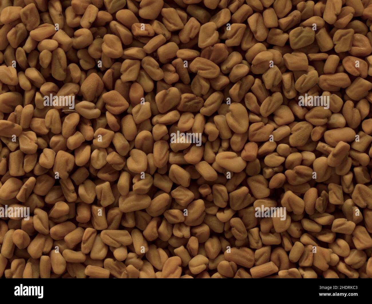 Fenugreek plants and seeds hi-res stock photography and images - Alamy