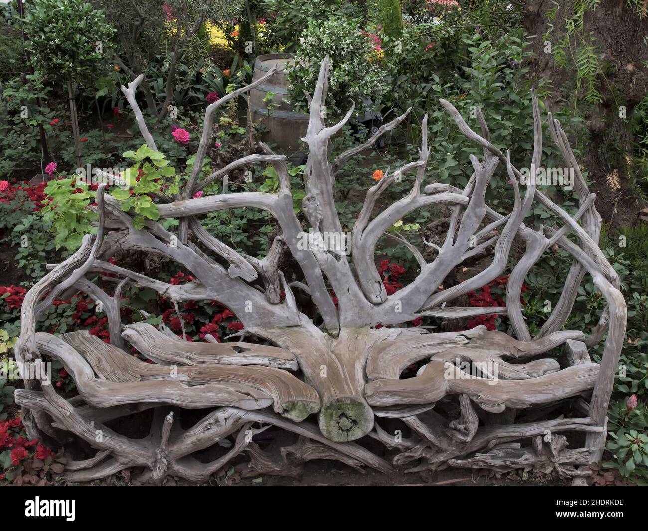 bank, bench, wild wood furniture, benchs Stock Photo - Alamy