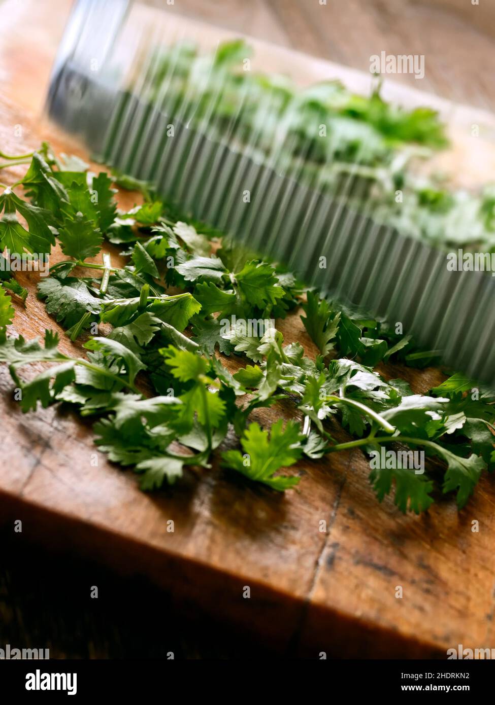 spices & ingredients, chopping, cilantro, spices and ingredients ...