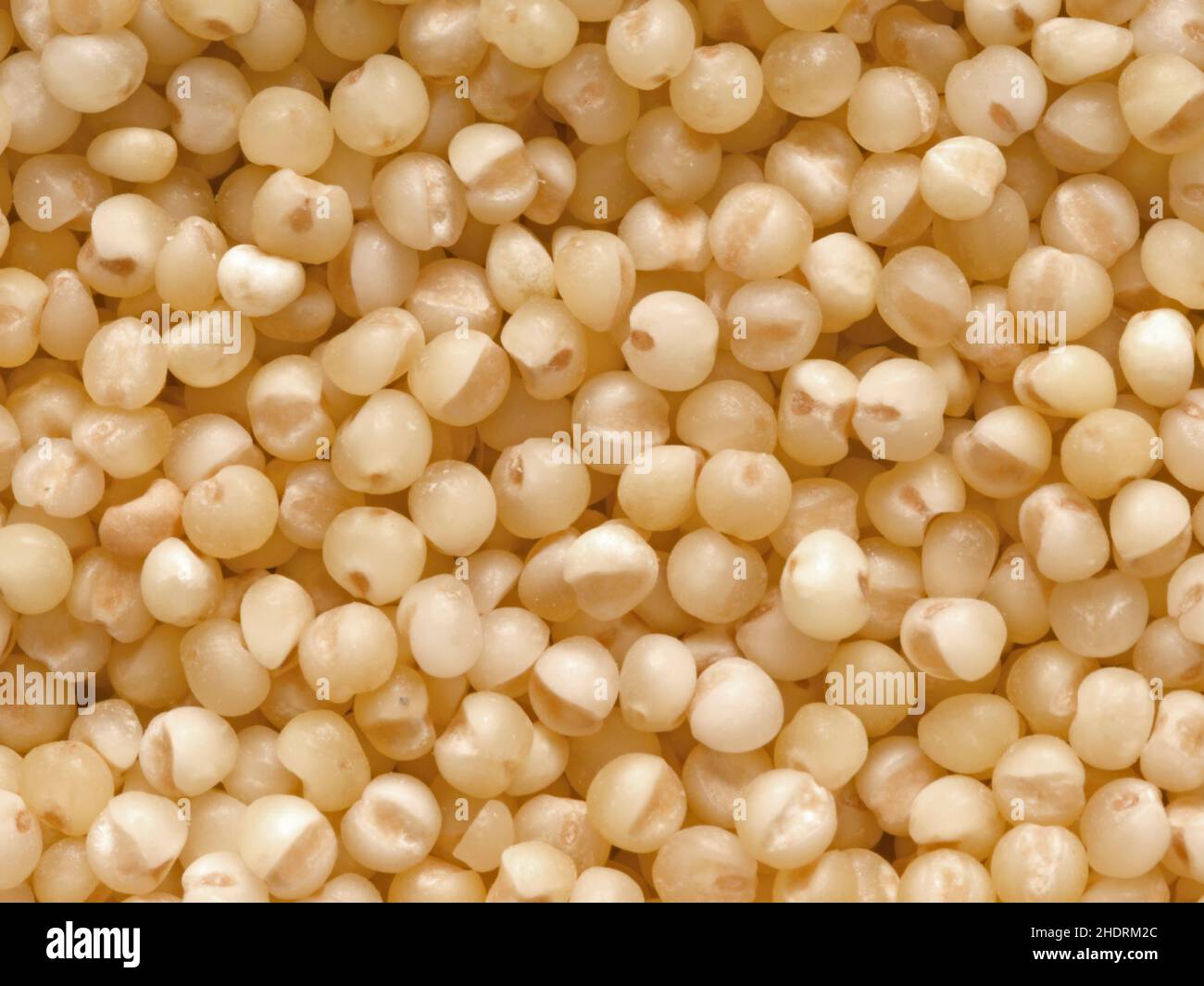 Millets backgrounds hi-res stock photography and images - Alamy