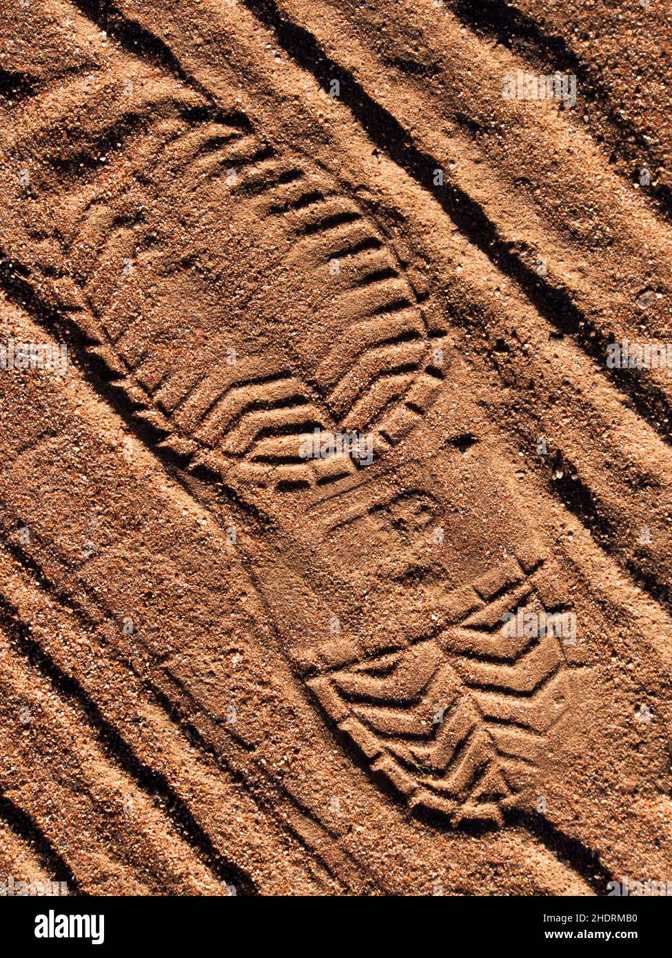 shoeprint, shoe profile, shoe prints, shoe profiles Stock Photo - Alamy