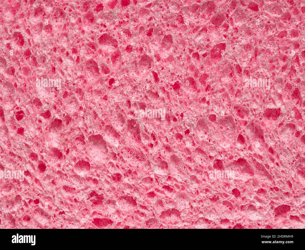 Sponge structures hi-res stock photography and images - Alamy