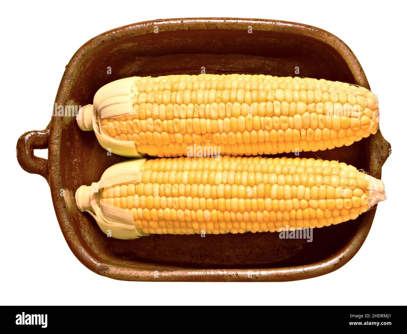 maize cob, maize, corn on the cobs, corn crops Stock Photo - Alamy