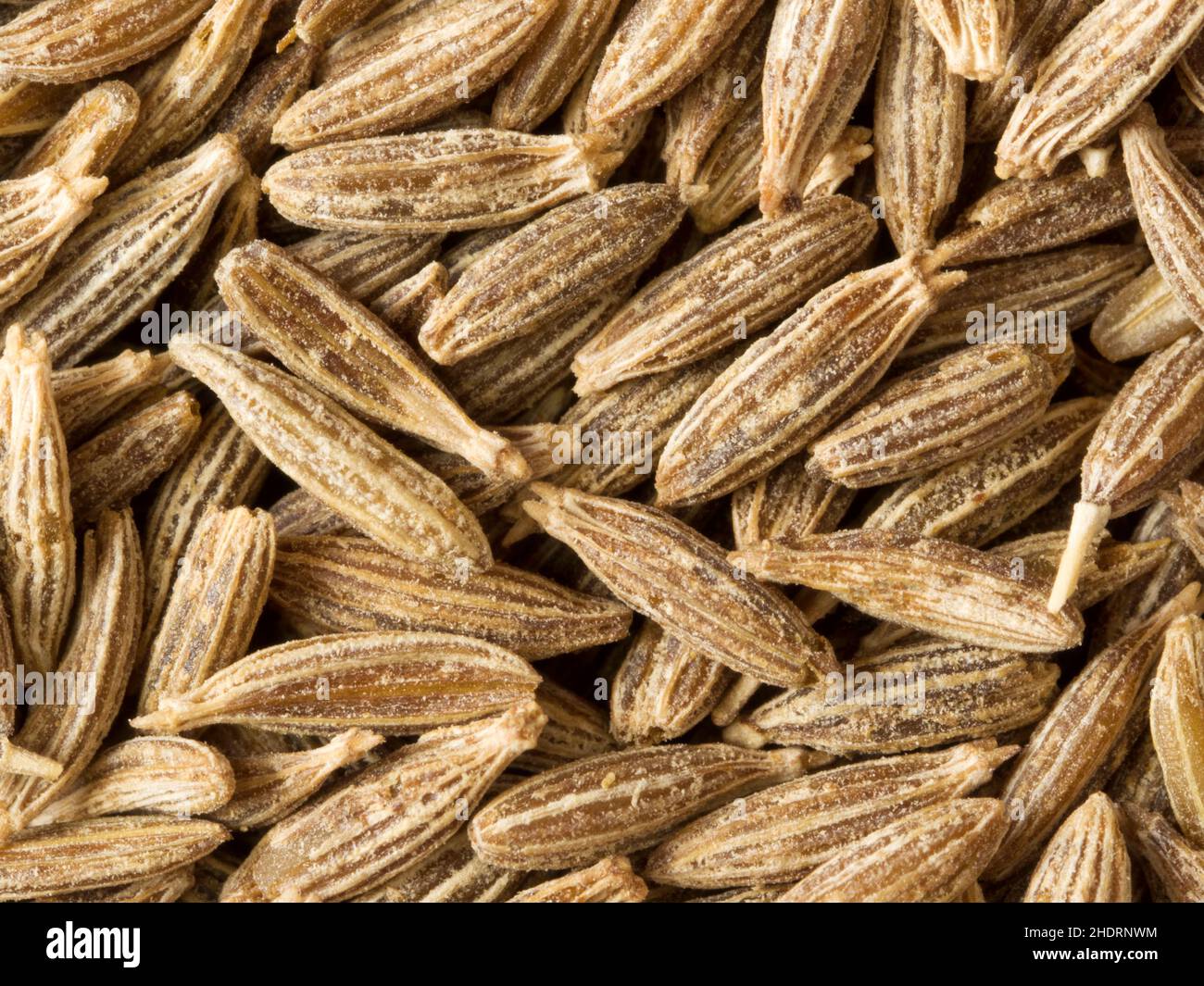 Cumins seeds hi-res stock photography and images - Alamy