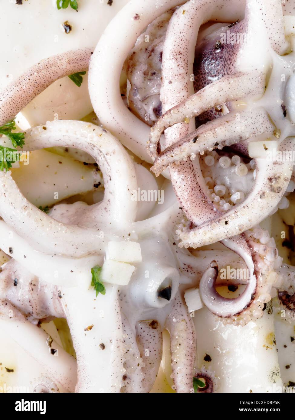 squid, boiled, calamari, squids, boileds Stock Photo - Alamy