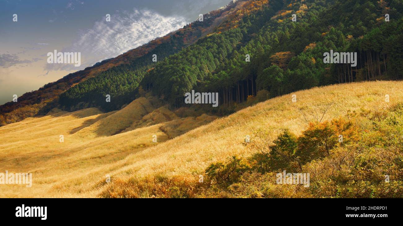 landscape, japan, hakone, landscapes, rural, rural scene, scene ...