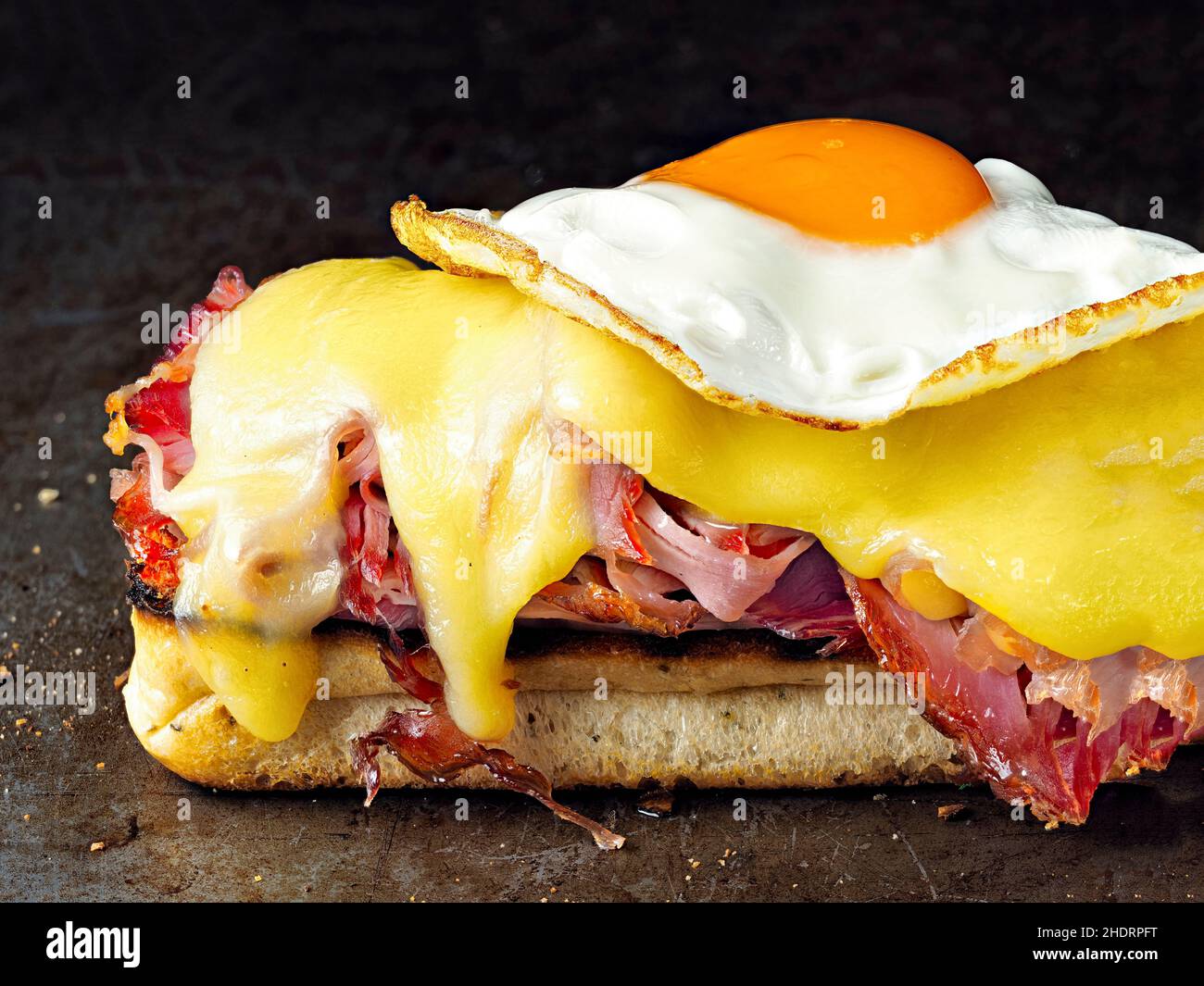 fast food, fried egg, sandwich, fastfood, fried eggs, sandwichs Stock ...