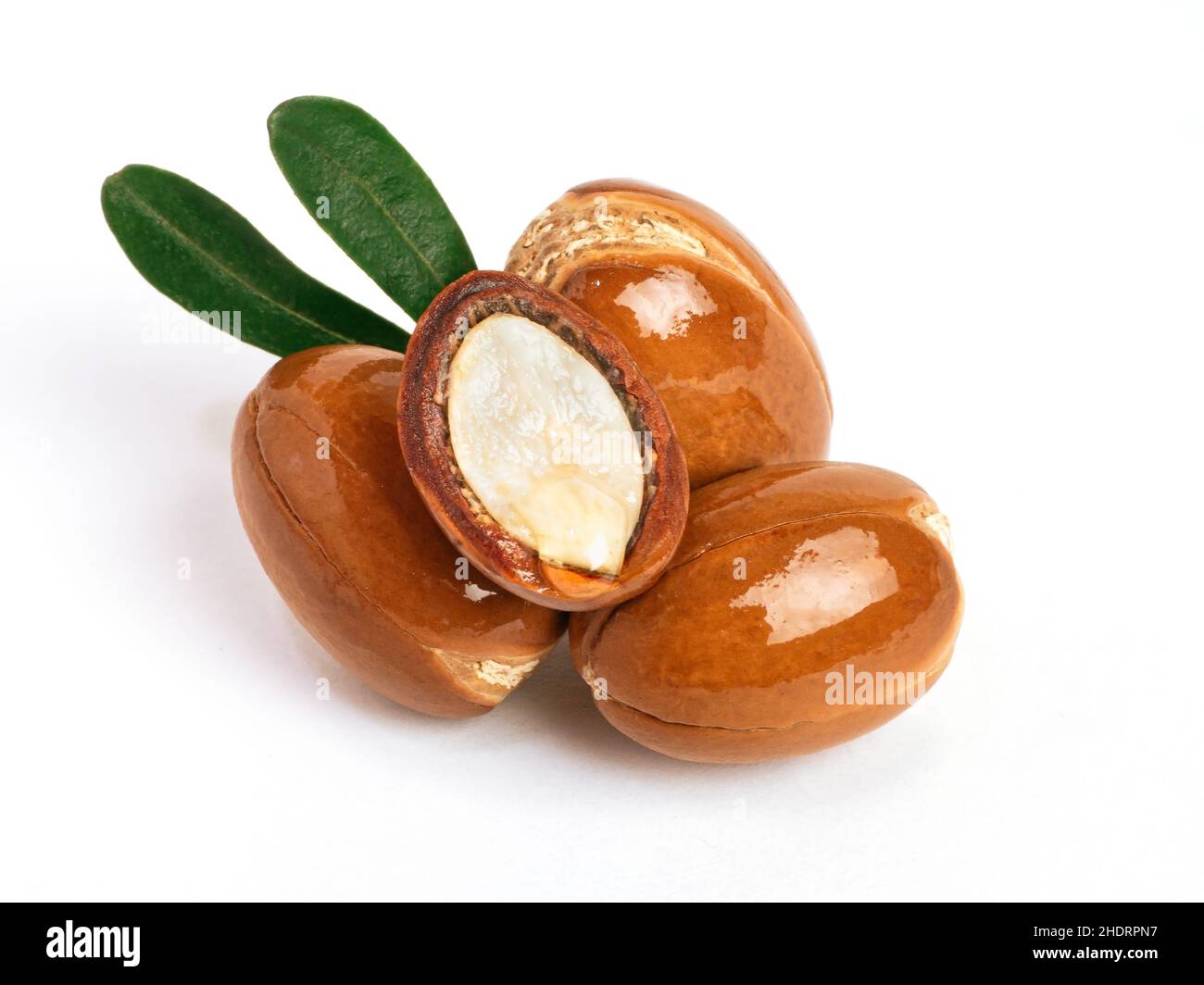 Three argan nuts with green leaves on an isolated white background ...