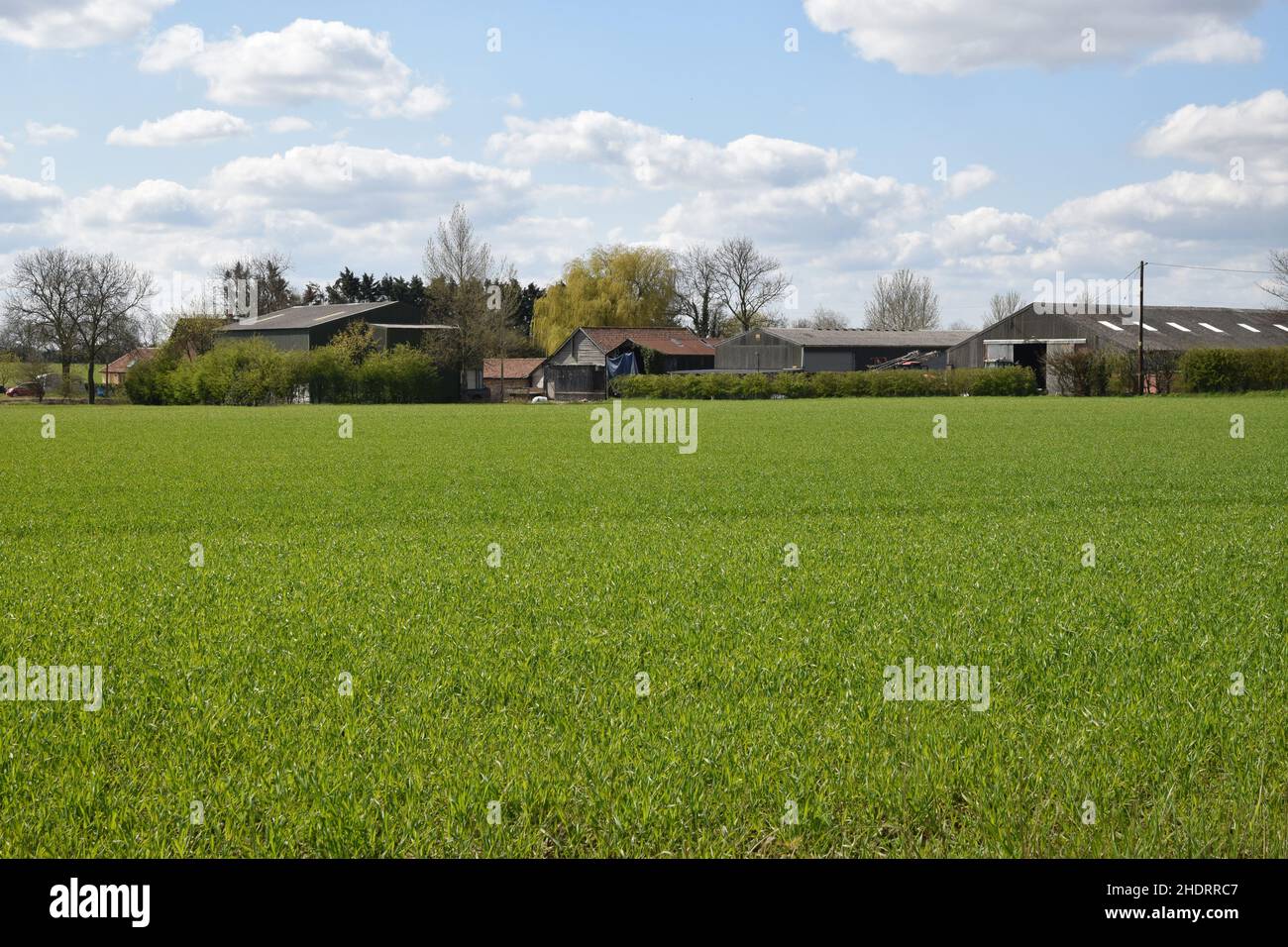 green field and farm buildings, suffolk, england Stock Photo - Alamy