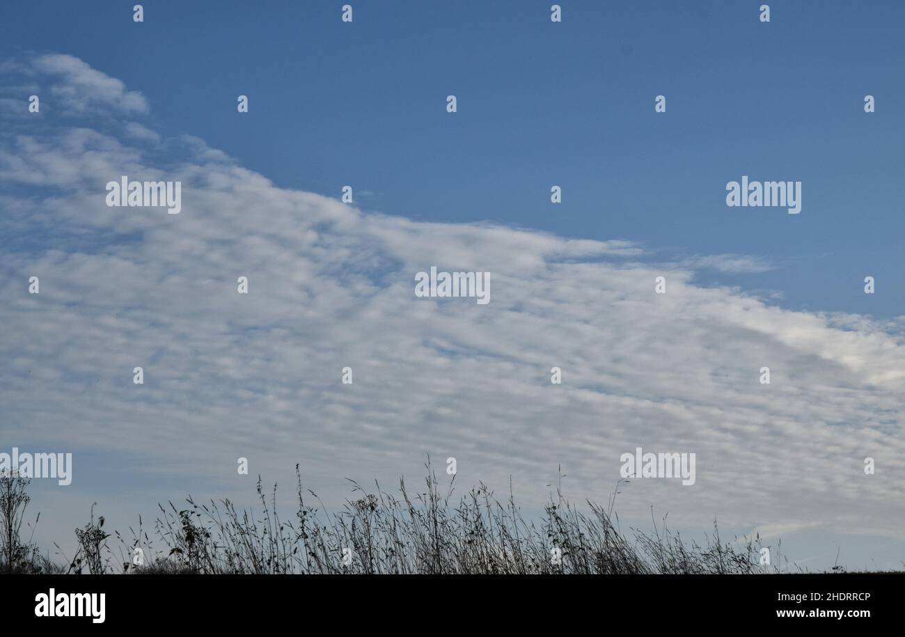 blue sky with thin cloud, suffolk, england Stock Photo - Alamy
