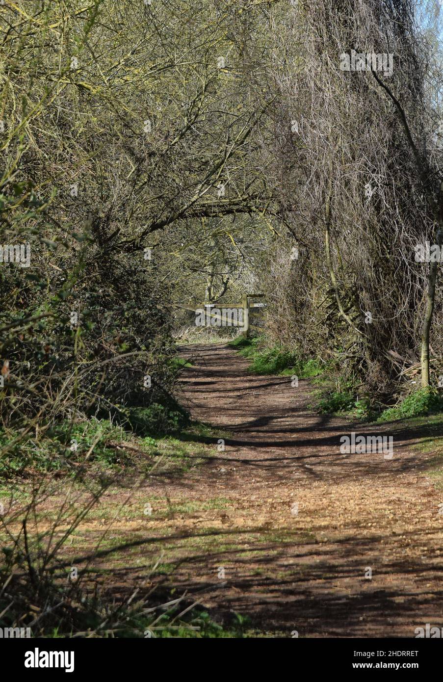 Path trees end hi-res stock photography and images - Alamy