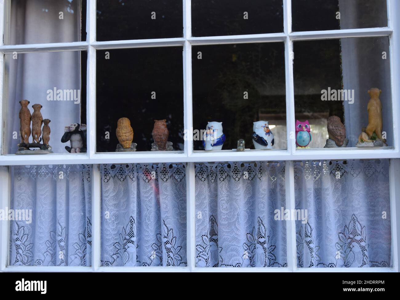 group of animal ornaments in house window, england Stock Photo - Alamy