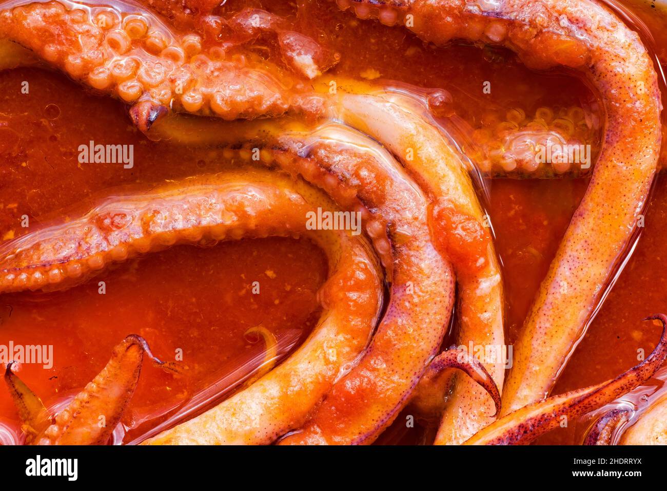 squid, tentacle, squids, tentacles Stock Photo - Alamy
