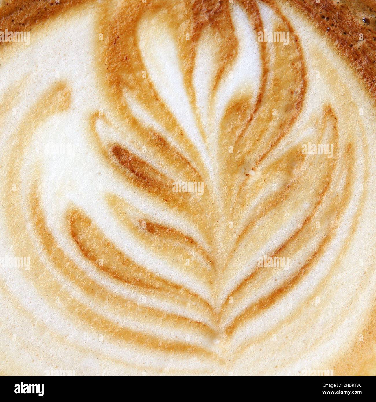 pattern, milk foam, cappuccino, patterns, milk foams, cappuccinos ...