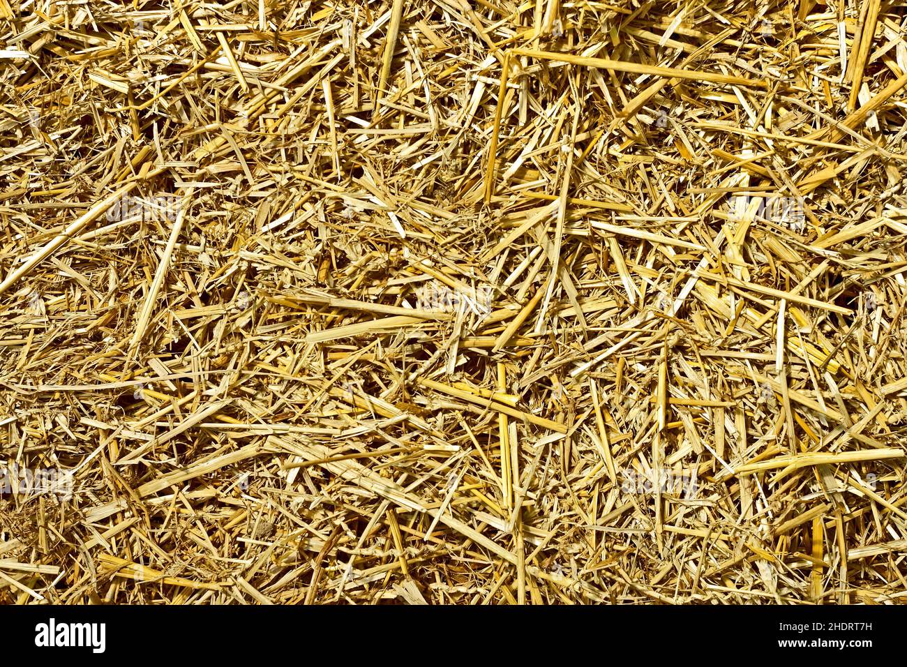 Straw frames hi-res stock photography and images - Alamy