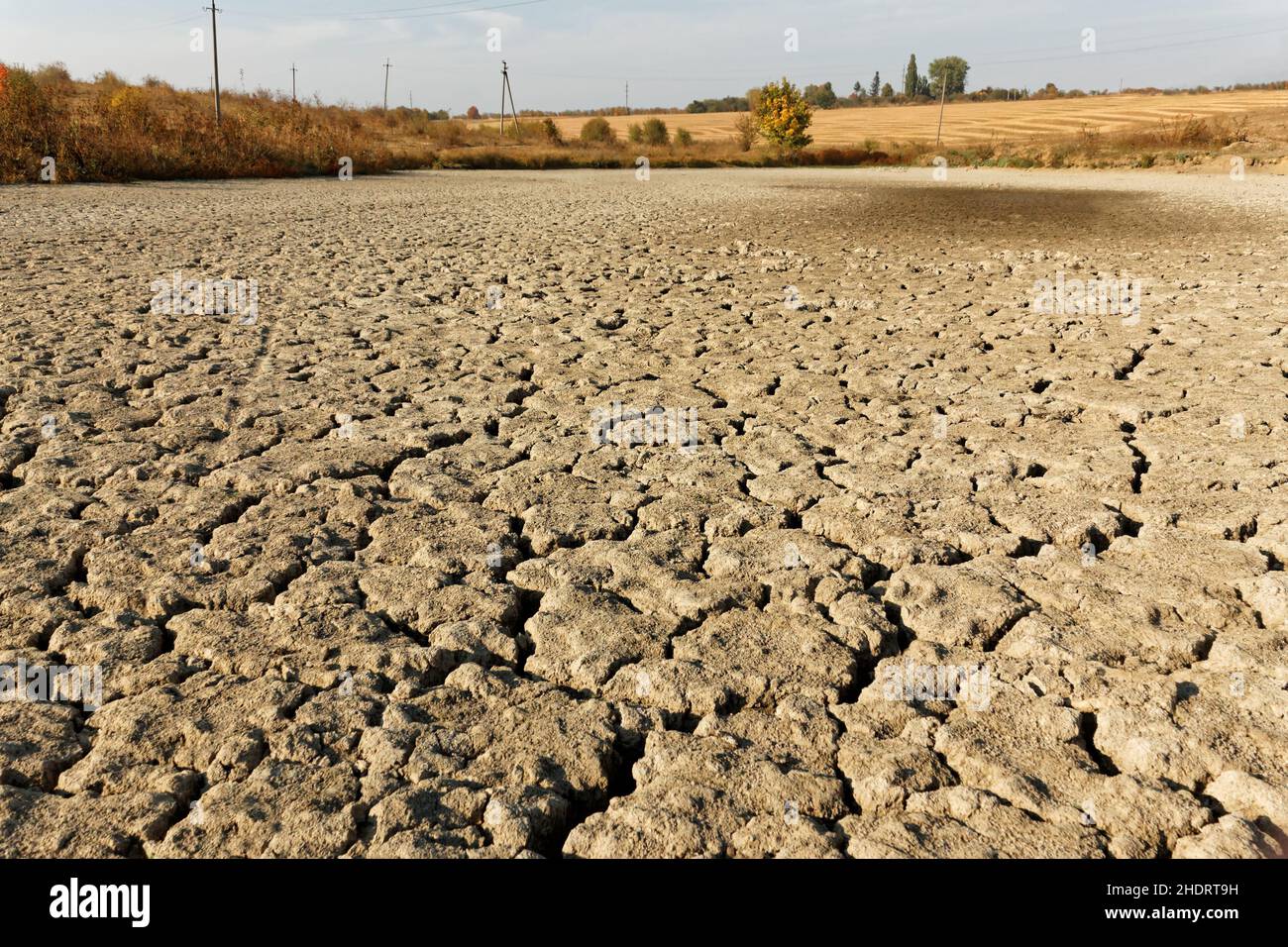 lake, dried, lakes, drieds Stock Photo - Alamy