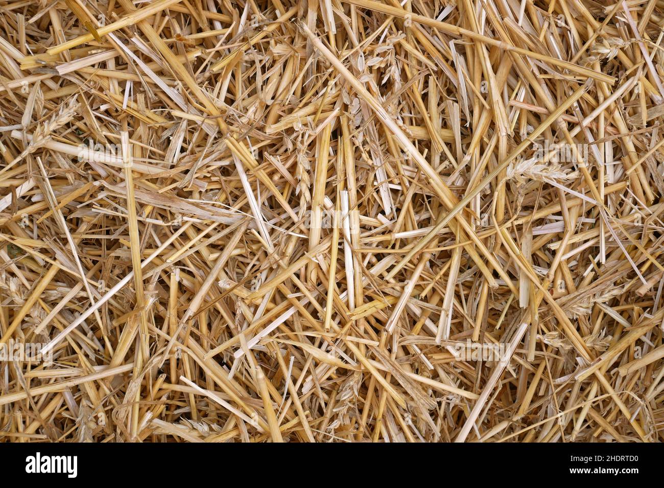 Straw frames hi-res stock photography and images - Alamy