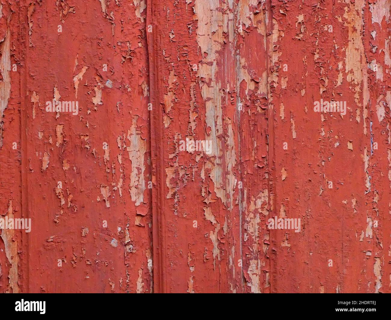 colour, wood, flaking, colours, woodland, woodlands, woods Stock Photo ...