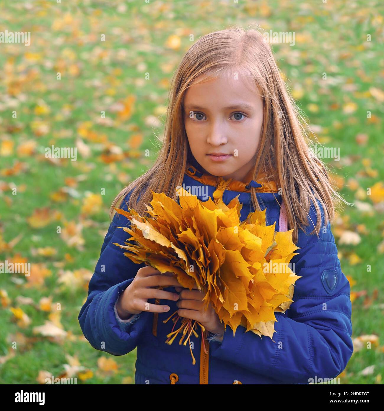 girl, autumn leaves, girls, leaf Stock Photo - Alamy
