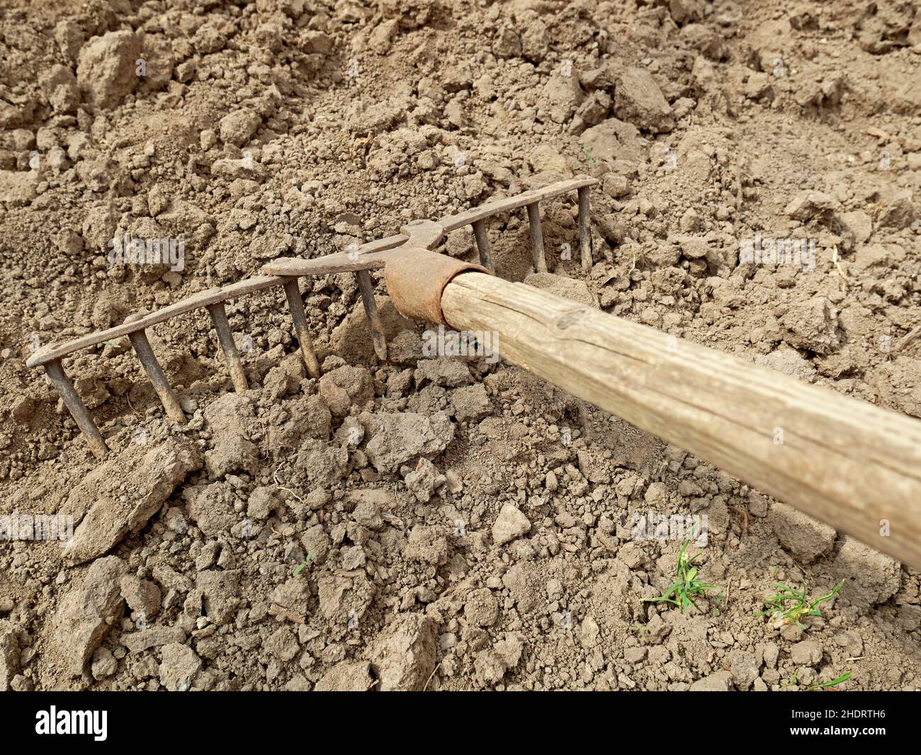 rake, garden rake, rakes Stock Photo - Alamy