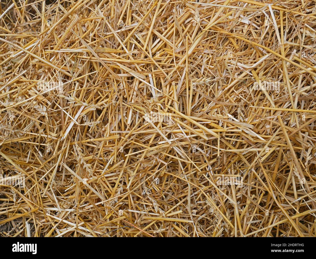 Straw frames hi-res stock photography and images - Alamy