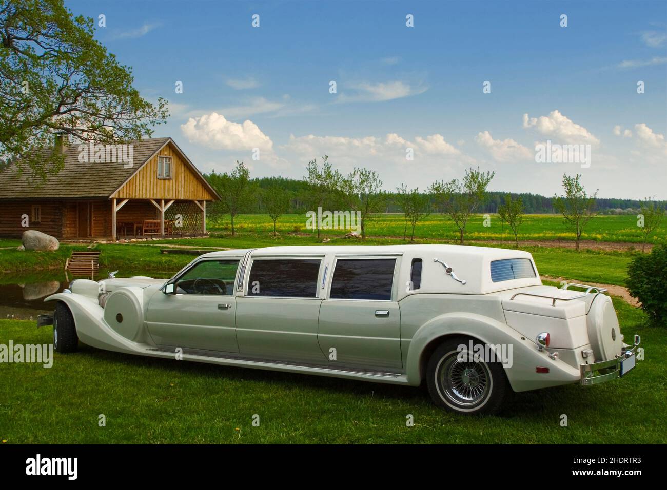 Stretchlimousin hi-res stock photography and images - Alamy