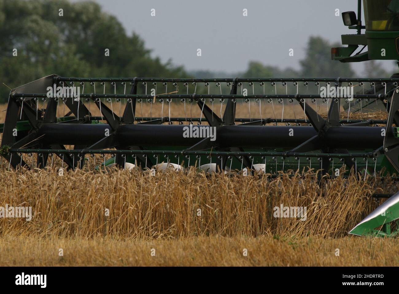 Combine harvesting wheats hi-res stock photography and images - Alamy