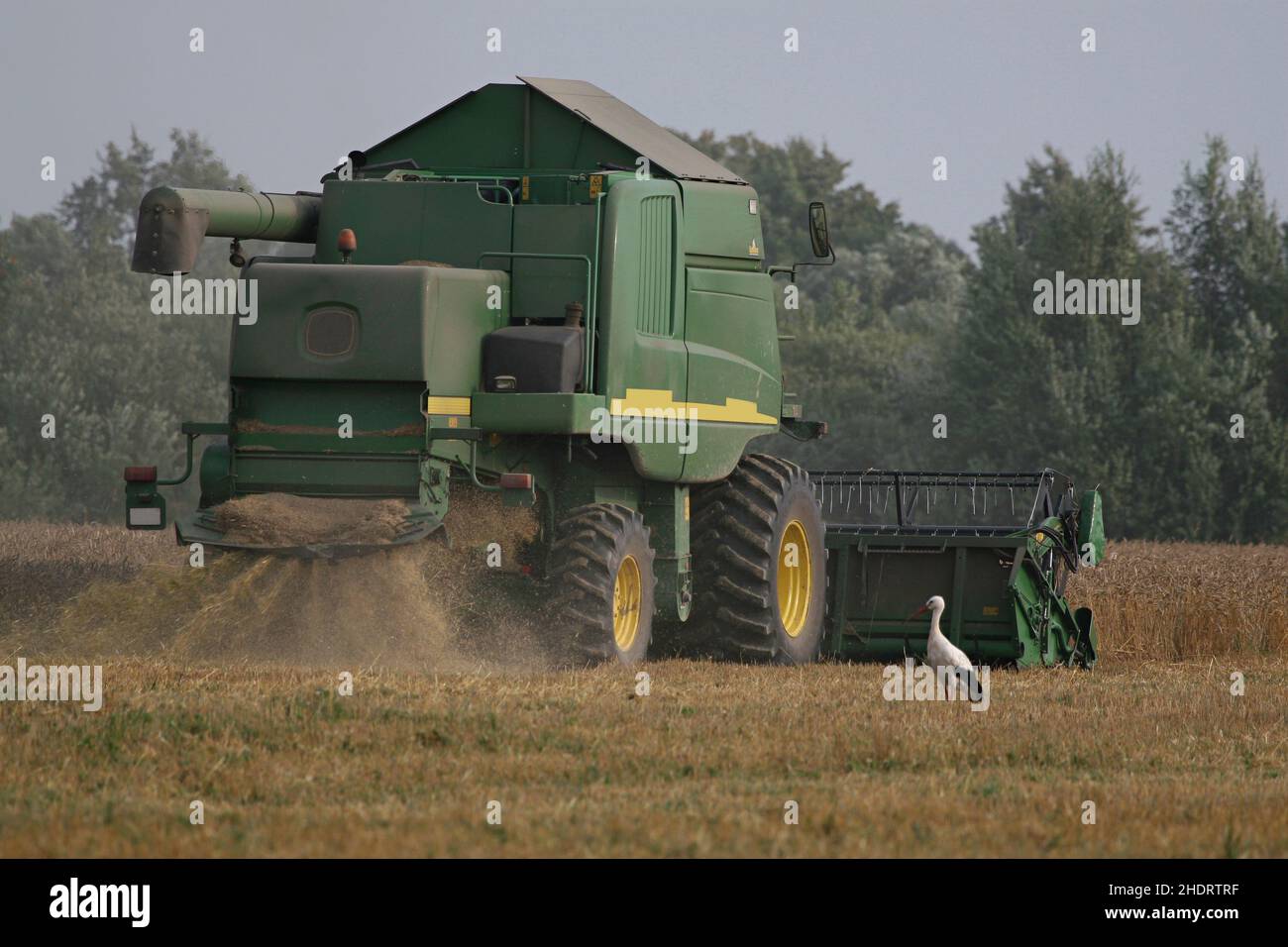 combine, grain harvest, combines, harvester, grain harvests Stock Photo ...