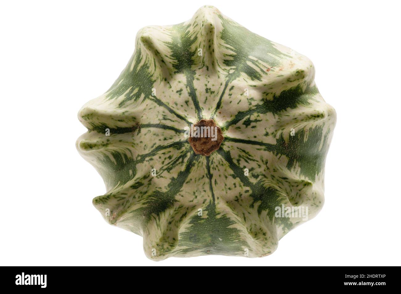 Crown of thorns gourd hi-res stock photography and images - Alamy