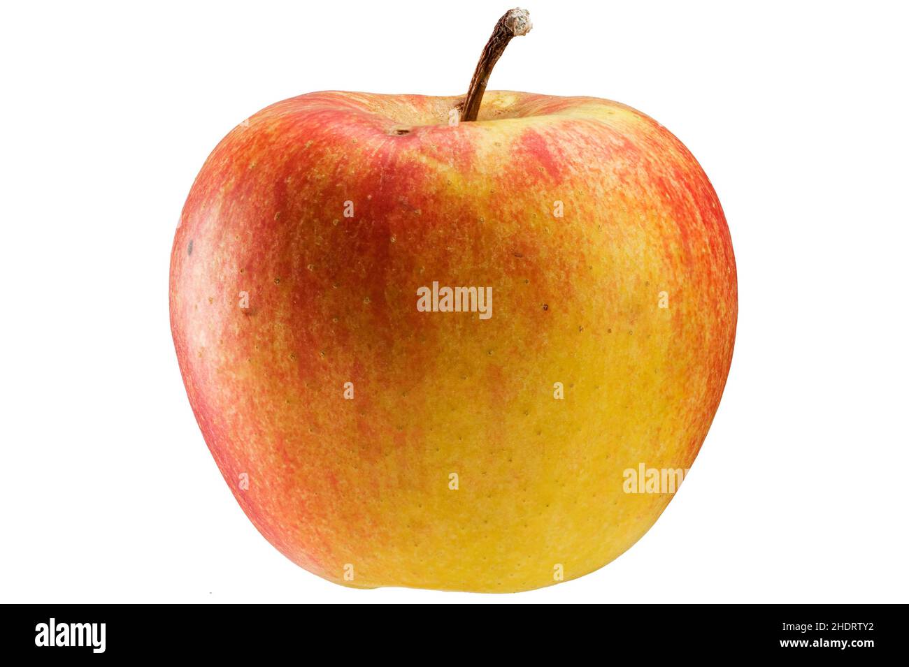 Apple pip Cut Out Stock Images & Pictures - Alamy